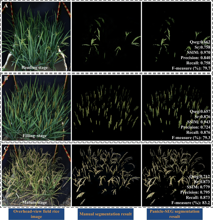 Panicle-SEG: a robust image segmentation method for rice panicles in ...