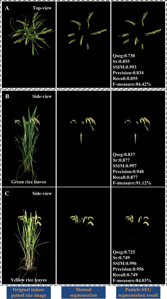 Panicle-SEG: a robust image segmentation method for rice panicles in ...