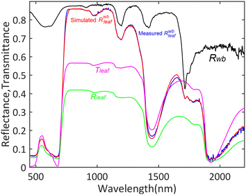 Estimation of leaf traits from reflectance measurements: comparison ...