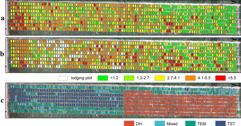 Modeling maize above-ground biomass based on machine learning ...