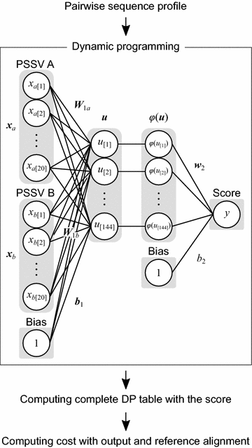 Derivative-free neural network for optimizing the scoring functions associated with dynamic ...
