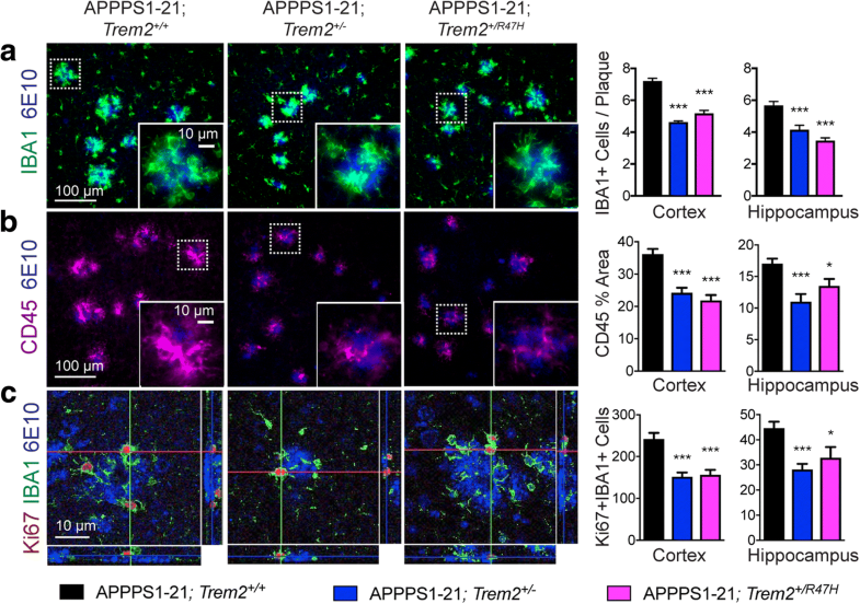The Trem2 R47H variant confers loss-of-function-like phenotypes in ...