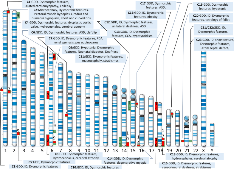 Importance and usage of chromosomal microarray analysis in diagnosing ...