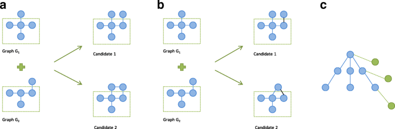 Grasping frequent subgraph mining for bioinformatics applications | BioData Mining | Full Text