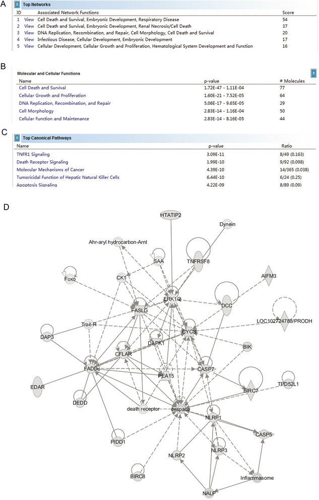 Early B-cell factor 3 (EBF3) is a novel tumor suppressor gene with ...