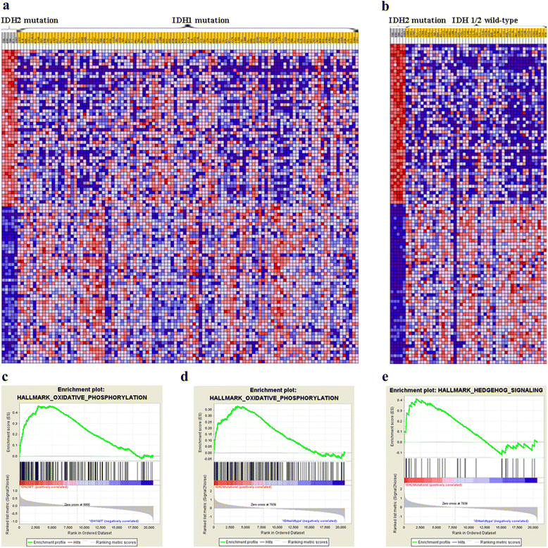 The comparison of clinical and biological characteristics between IDH1 ...