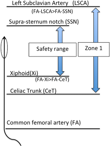 Anatomical landmarks for safely implementing resuscitative balloon ...