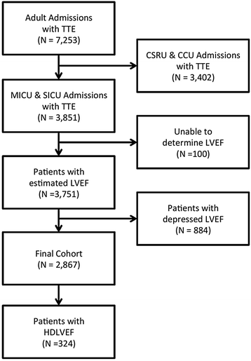Hyperdynamic left ventricular ejection fraction in the intensive care ...