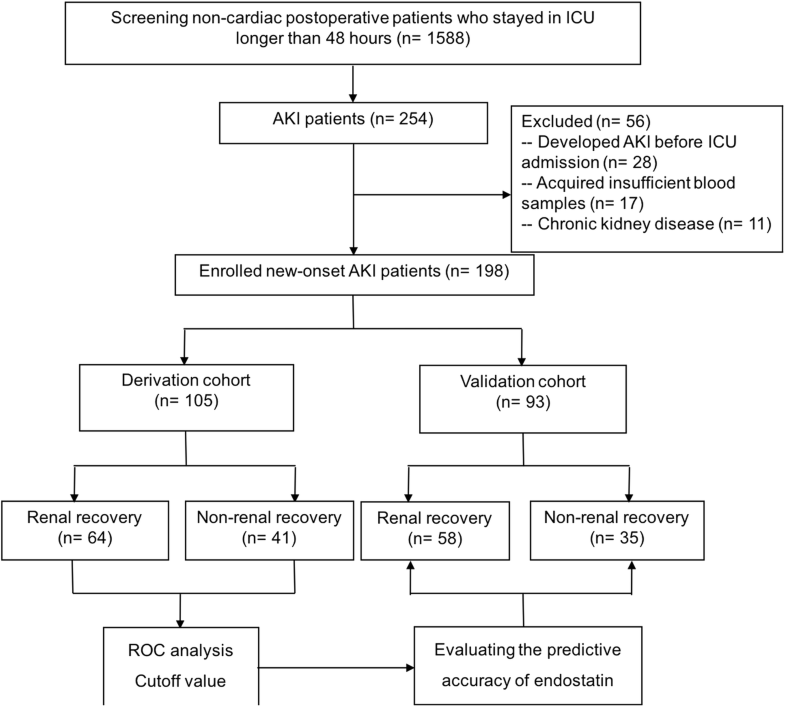 Derivation And Validation Of Plasma Endostatin For Predicting Renal