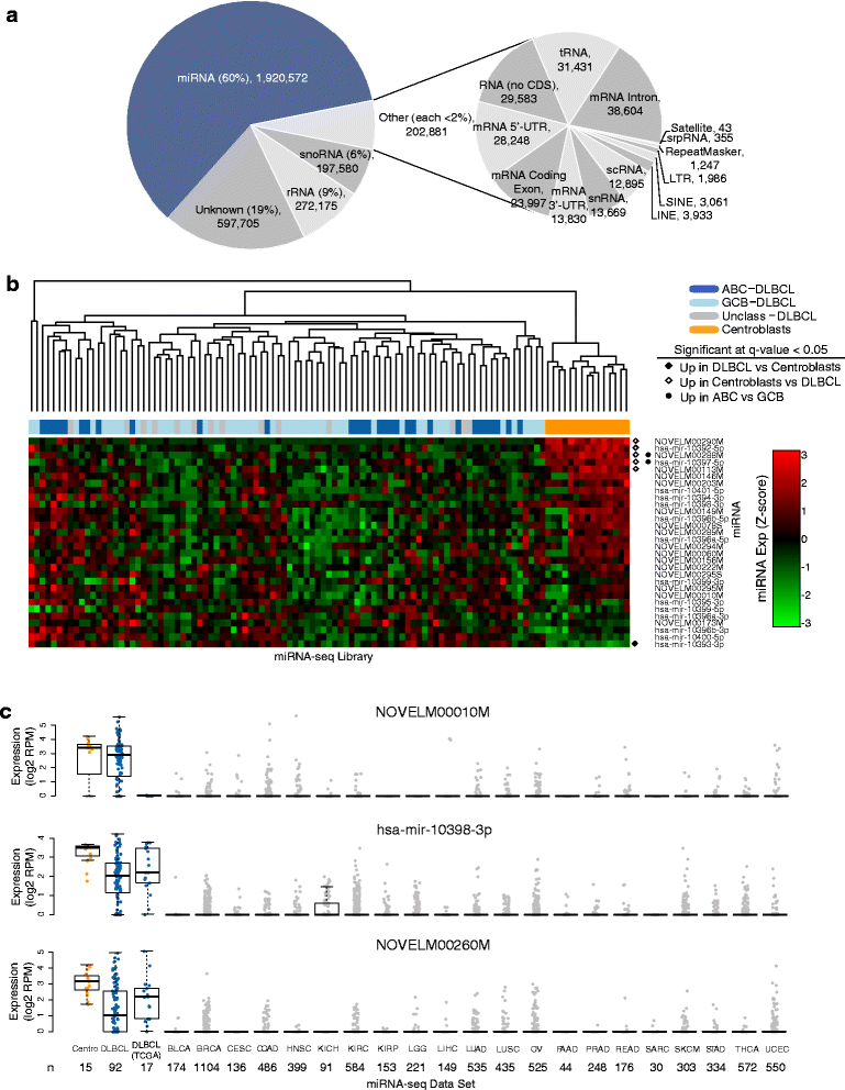 Comprehensive miRNA sequence analysis reveals survival differences in ...