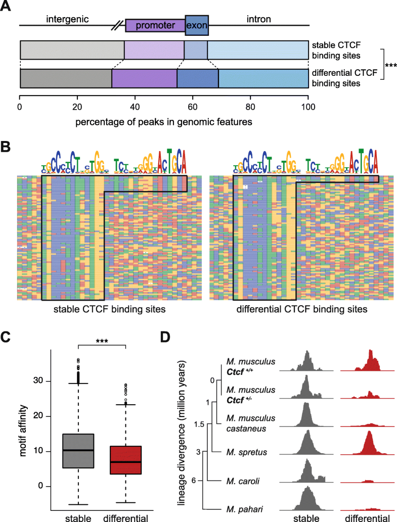 CTCF maintains regulatory homeostasis of cancer pathways | Genome ...