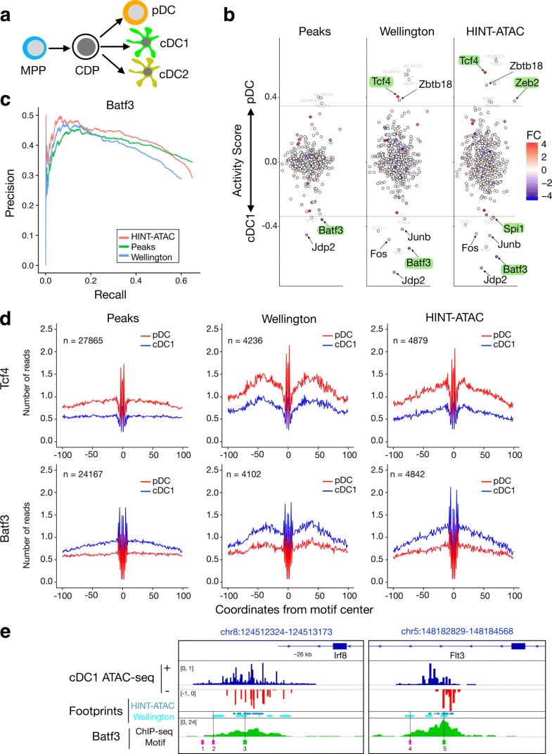 Identification of transcription factor binding sites using ATAC-seq ...
