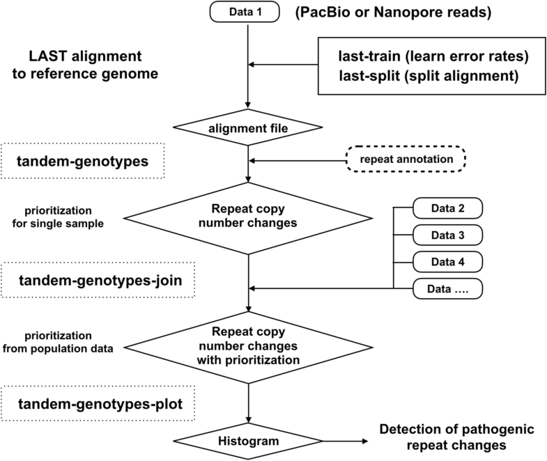 Tandem-genotypes: robust detection of tandem repeat expansions from ...