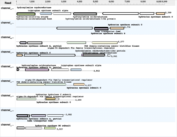 MEGAN-LR: new algorithms allow accurate binning and easy interactive ...