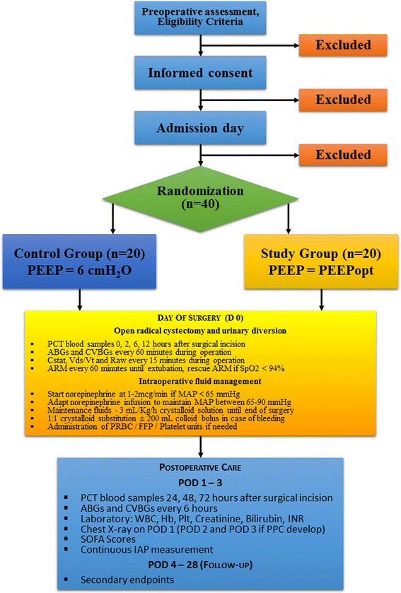 Effects of intraoperative PEEP optimization on postoperative pulmonary ...