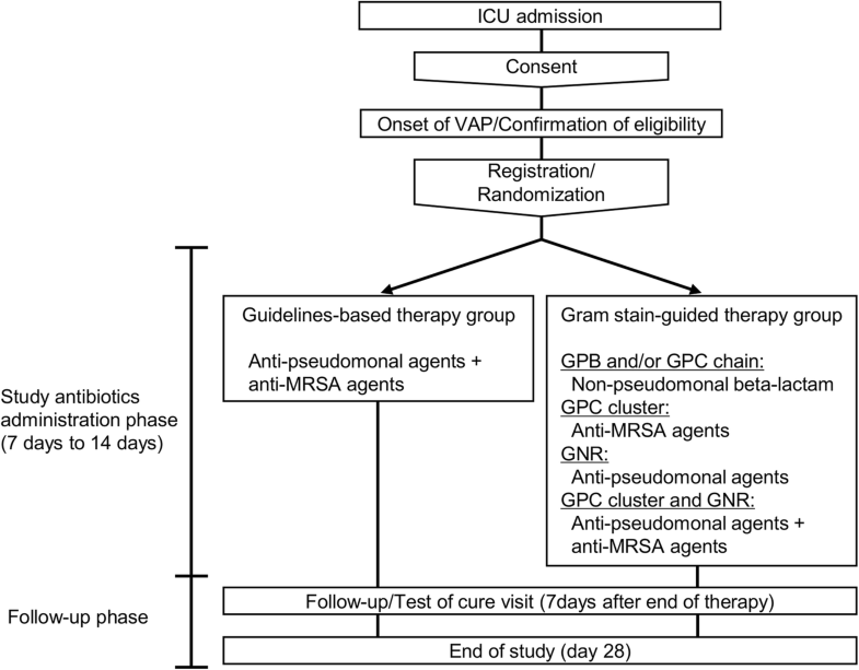 GRam stain-guided Antibiotics ChoicE for Ventilator-Associated ...