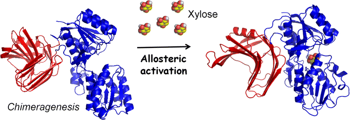 Insertion of a xylanase in xylose binding protein results in a xylose ...