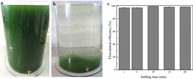 Harvesting of freshwater microalgae with microbial bioflocculant: a ...