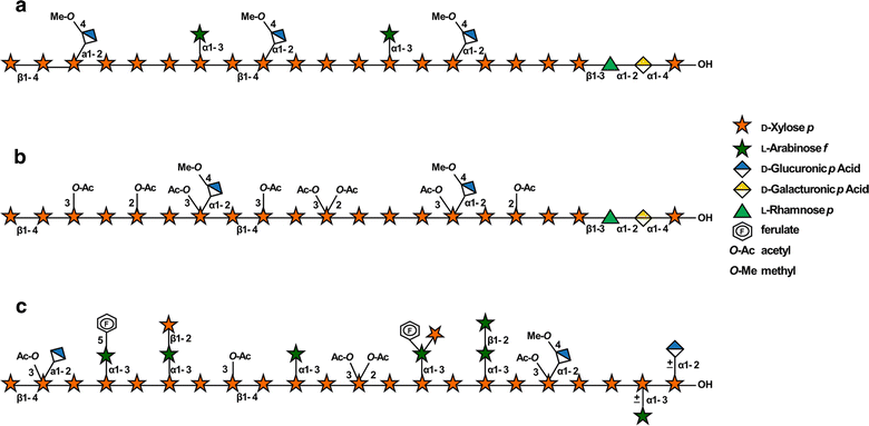 Designer biomass for next-generation biorefineries: leveraging recent ...