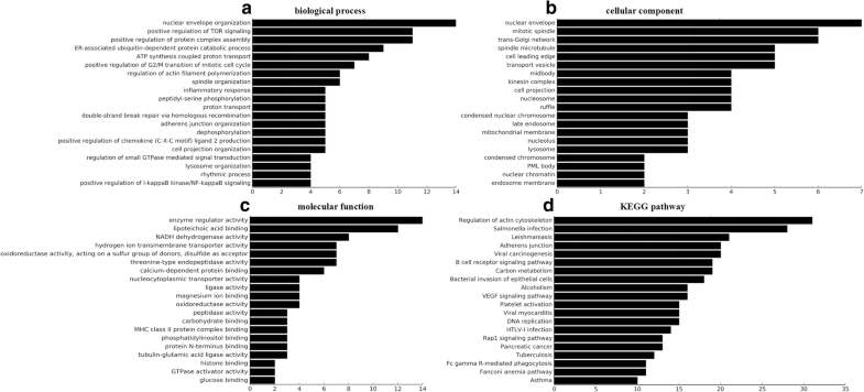 Microarray analysis of long non-coding RNA expression profiles in monocytic myeloid-derived ...