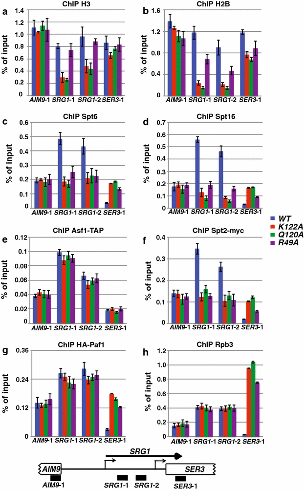 Regulation of chaperone binding and nucleosome dynamics by key residues ...