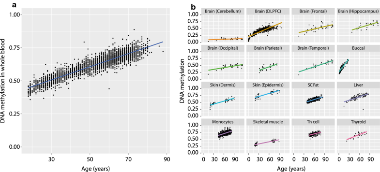 Age-related DNA methylation changes are tissue-specific with ELOVL2 ...