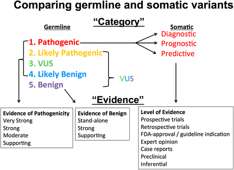 Somatic cancer variant curation and harmonization through consensus minimum variant level data ...