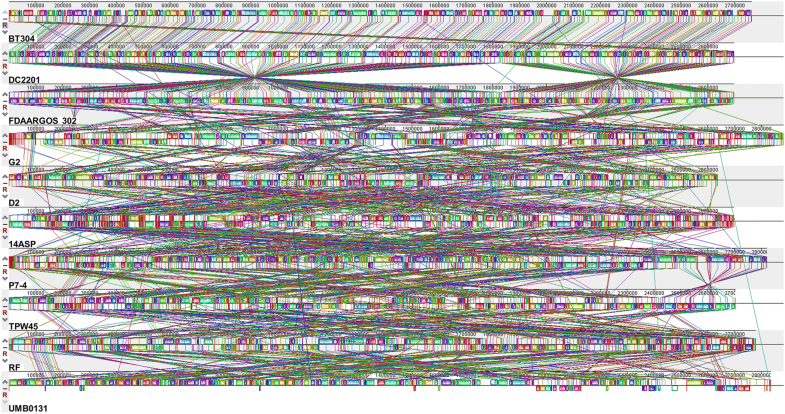Complete genome sequence of Kocuria rhizophila BT304, isolated from the ...