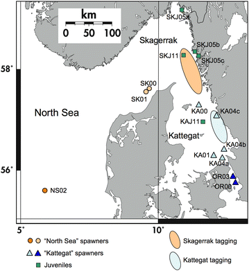 Population structure in Atlantic cod in the eastern North Sea-Skagerrak ...