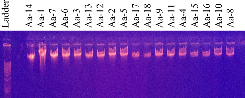 A novel technique for isolating DNA from Tempus™ blood RNA tubes after ...