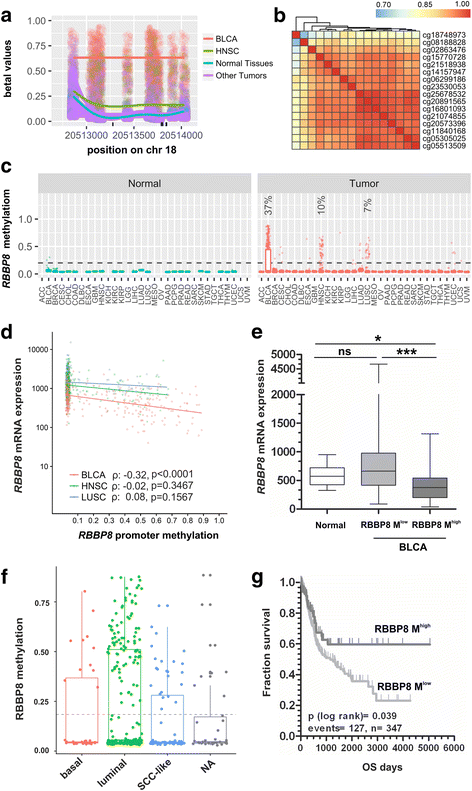 Promoter methylation of DNA damage repair (DDR) genes in human tumor ...
