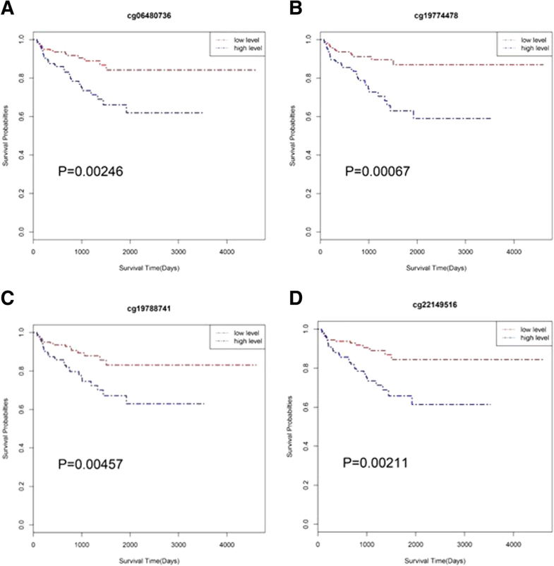 SLCO4C1 promoter methylation is a potential biomarker for prognosis associated with biochemical ...