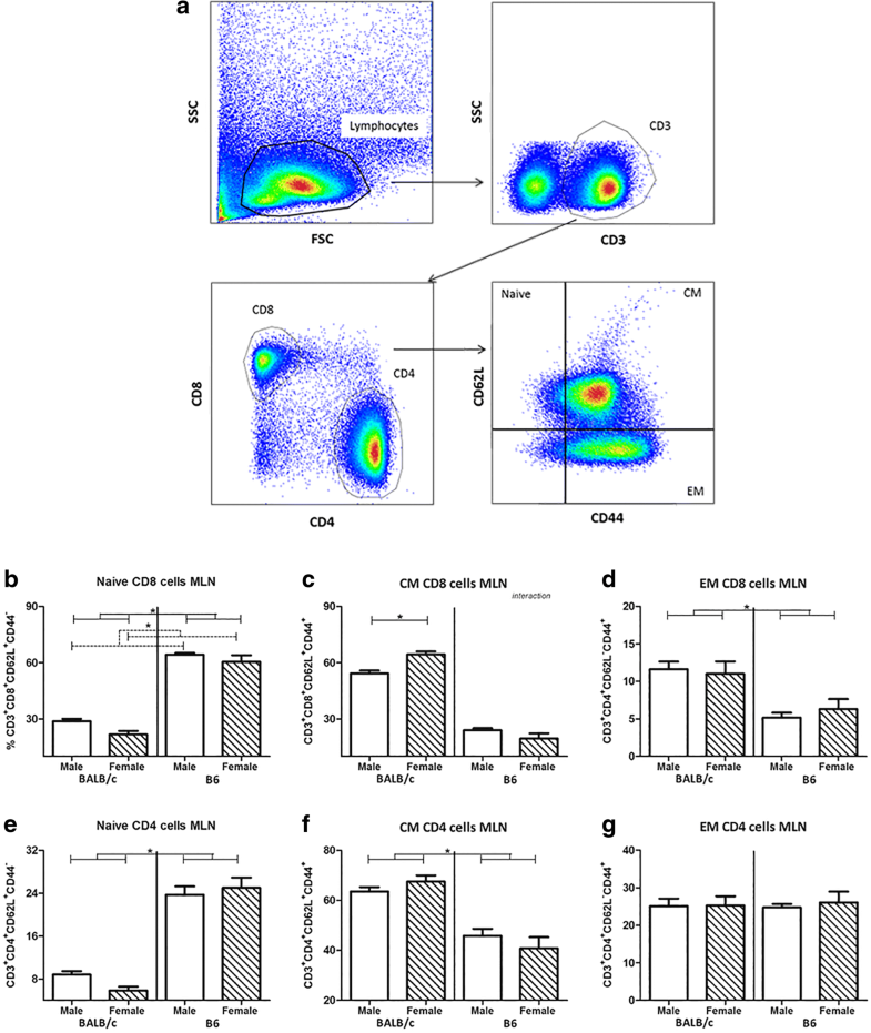 Sex And Strain Dependent Differences In Mucosal Immunology And