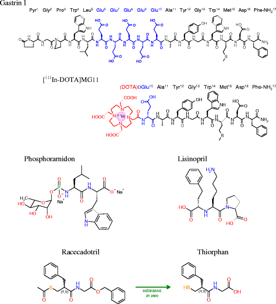 Impact of clinically tested NEP/ACE inhibitors on tumor uptake of ...