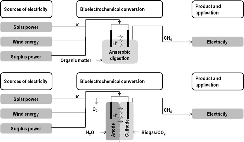 Methanogens: biochemical background and biotechnological applications ...