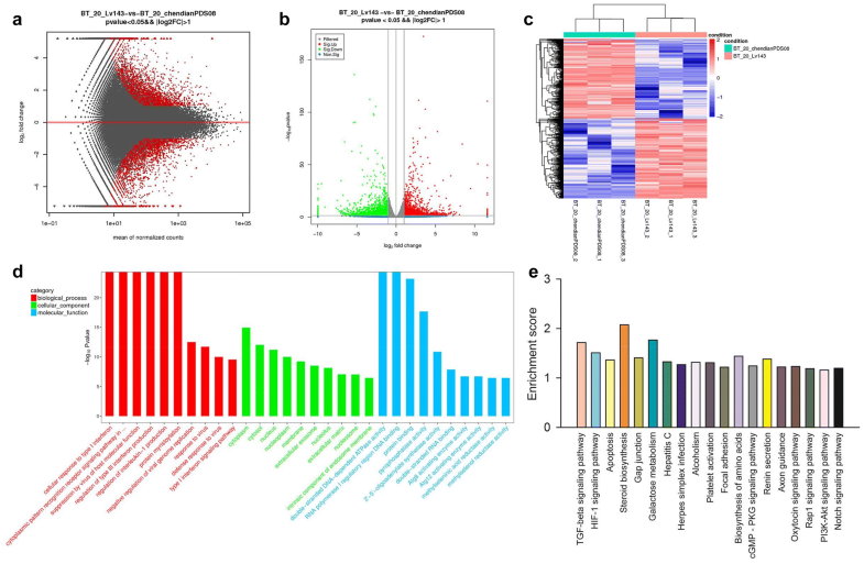MFAP5 promotes basal-like breast cancer progression by activating the ...