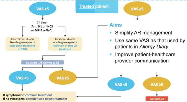 MASK 2017: ARIA digitally-enabled, integrated, person-centred care for rhinitis and asthma ...
