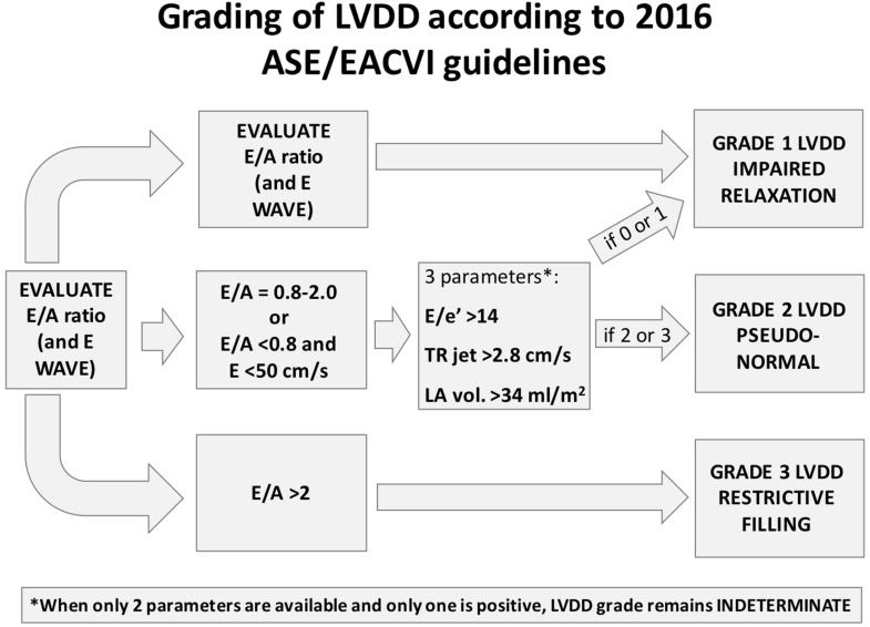 Practical approach to diastolic dysfunction in light of the new ...