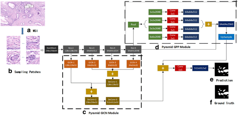 Large-scale tissue histopathology image segmentation based on feature pyramid | EURASIP Journal ...