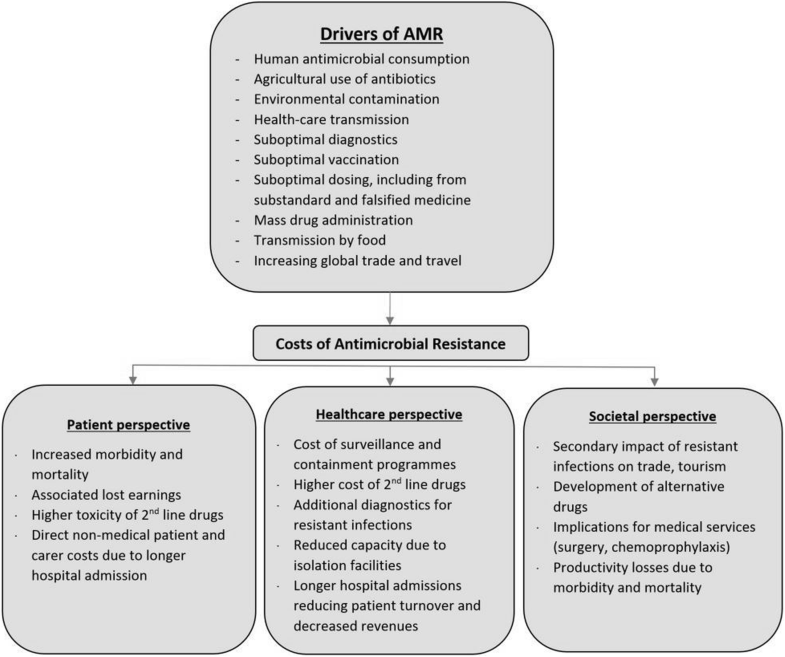 Enumerating the economic cost of antimicrobial resistance per ...