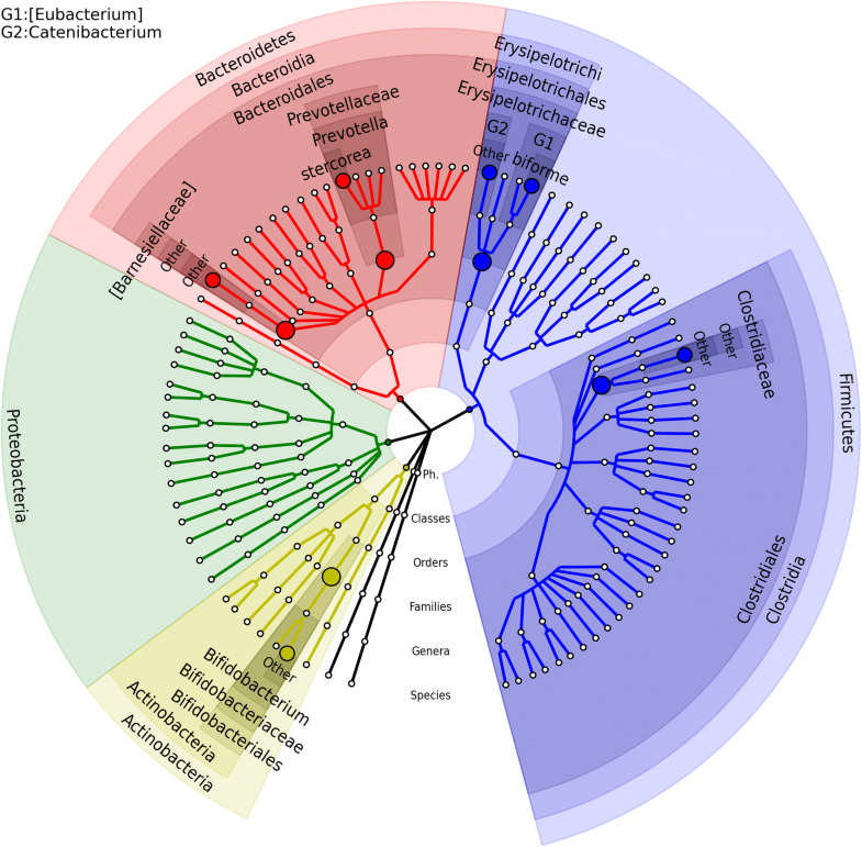 A two-stage microbial association mapping framework with advanced FDR ...