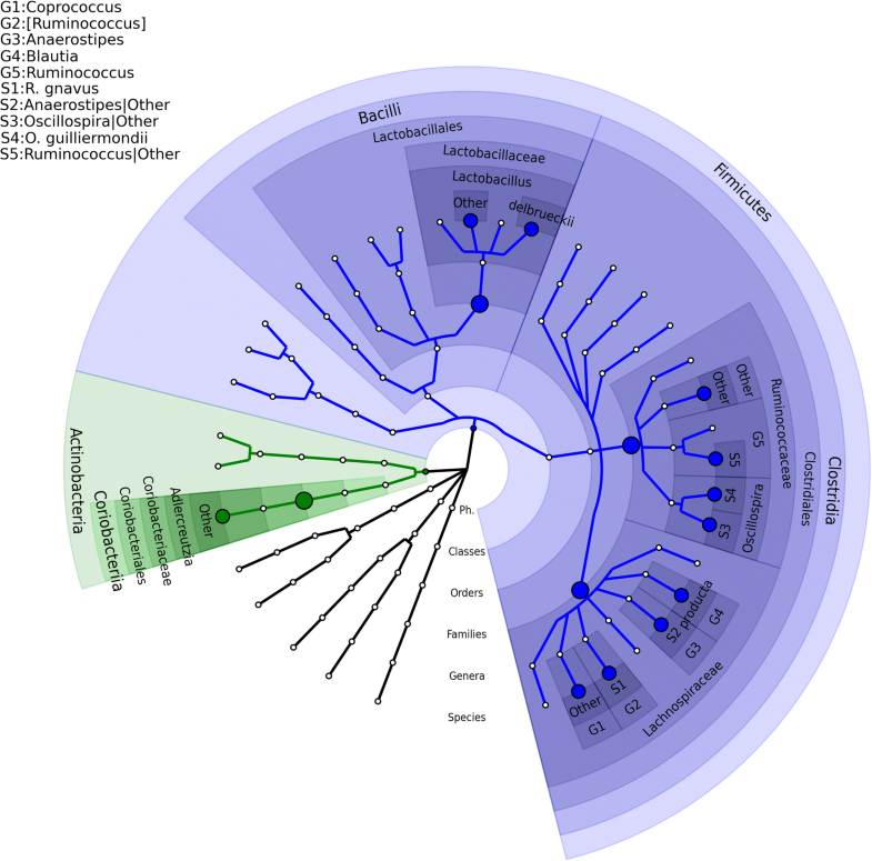 A two-stage microbial association mapping framework with advanced FDR ...