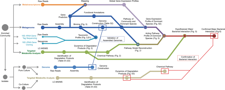An integrated meta-omics approach reveals substrates involved in ...