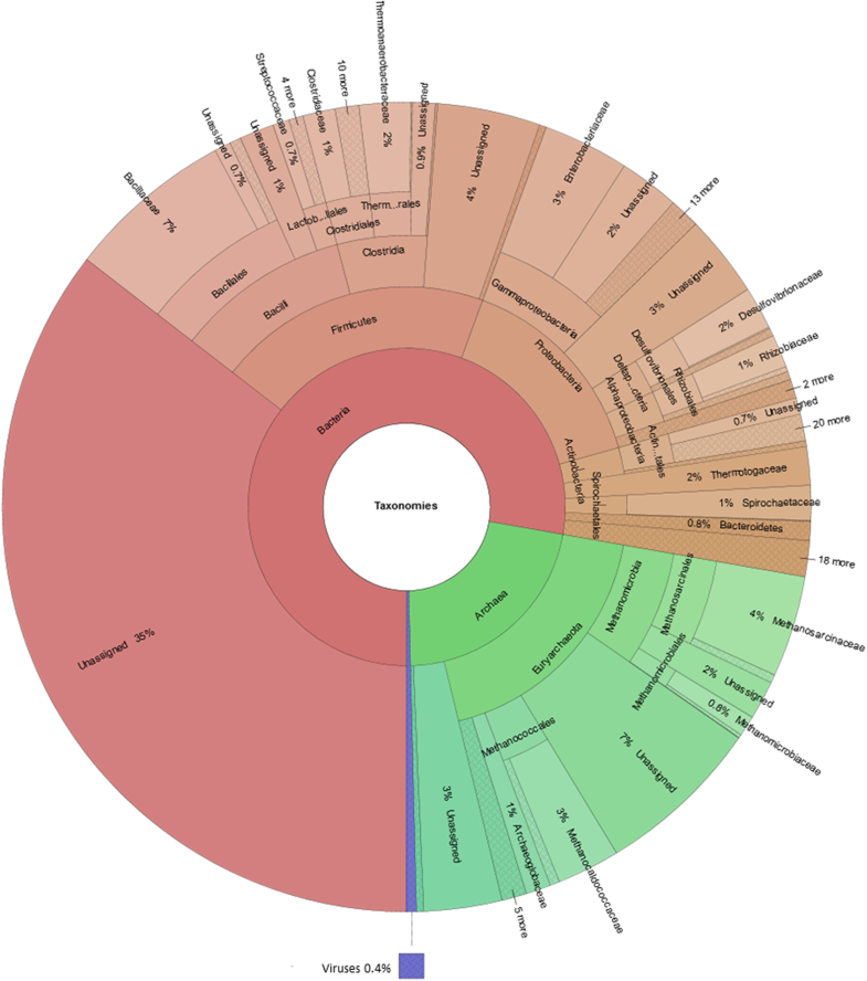 Metaproteome analysis reveals that syntrophy, competition, and phage ...