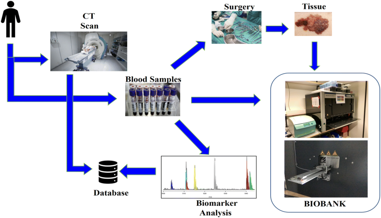 Biobank integration of large-scale clinical and histopathology melanoma studies within the ...