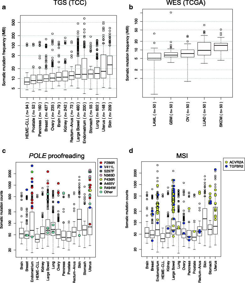 Evaluating Somatic Tumor Mutation Detection Without Matched Normal
