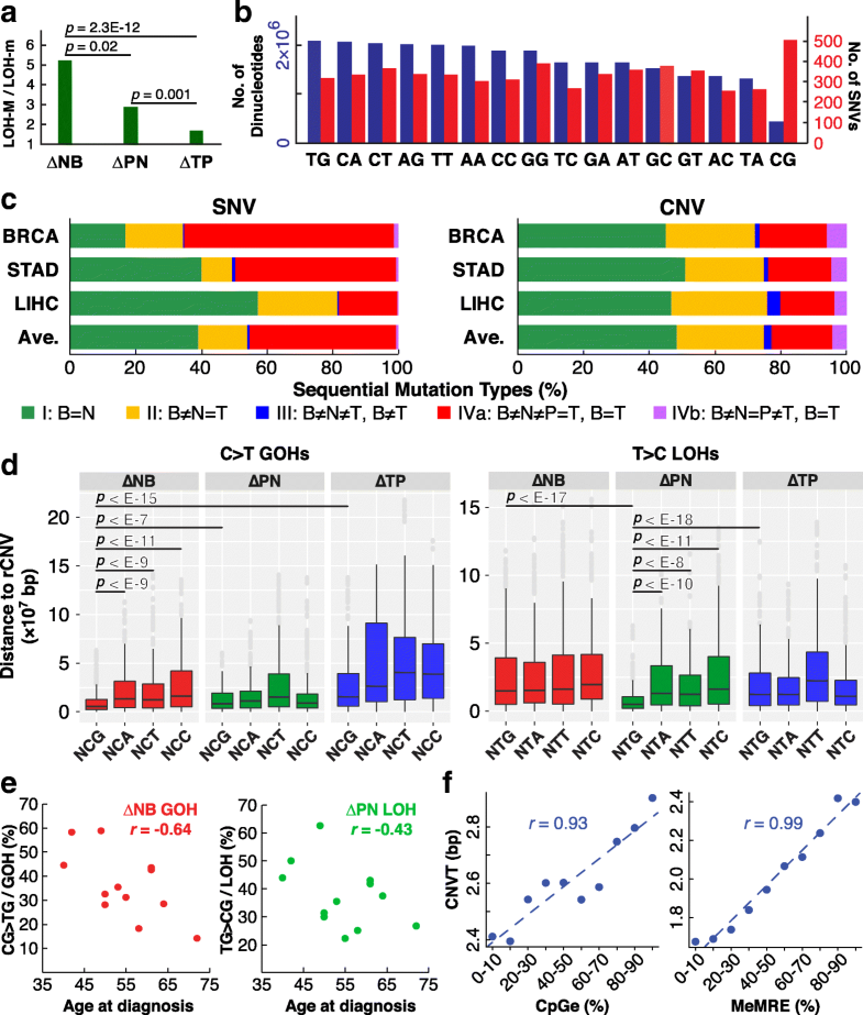 Forward and reverse mutations in stages of cancer development | Human ...