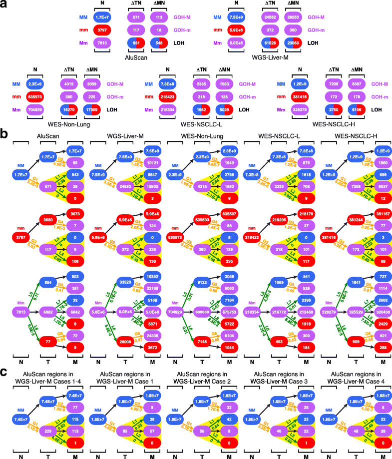 Forward and reverse mutations in stages of cancer development | Human ...