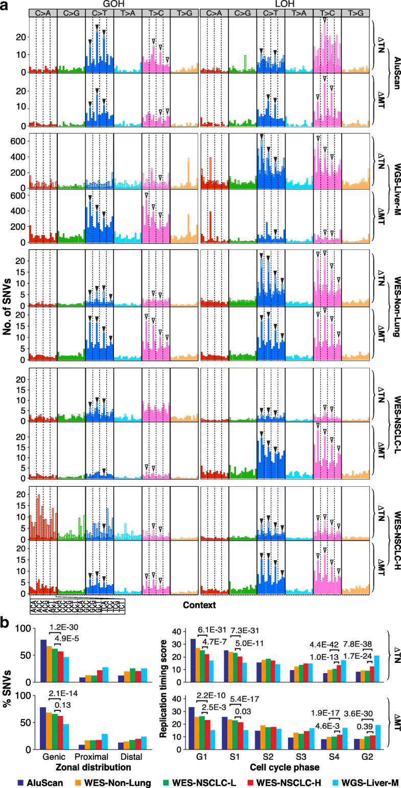 Forward and reverse mutations in stages of cancer development | Human ...