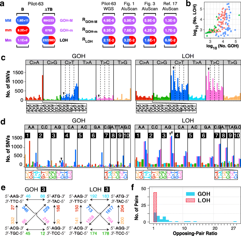 Forward and reverse mutations in stages of cancer development | Human ...